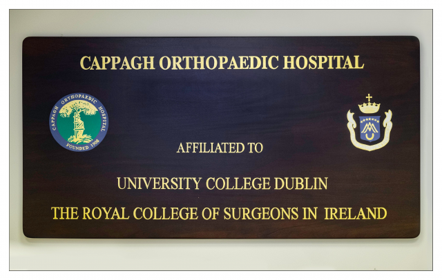 NATIONAL ORTHOPAEDIC HOSPITAL CAPPAGH | Signs Logos | Gold Leaf Gilding ...